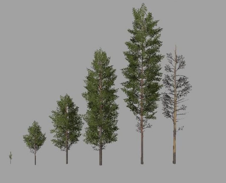 Pack Tree v 1.0 [SP] – FS17 mod